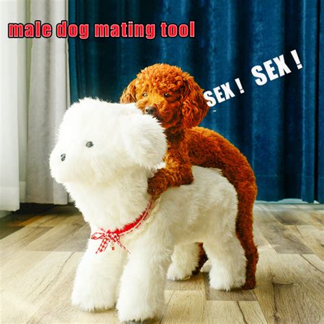 Realistic Plush Pet Male Dog Mating Toys Stress Reliever Tool Sex Play