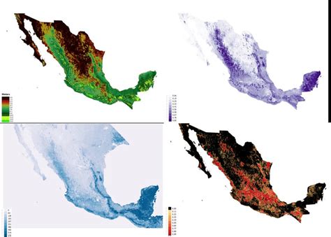 Examples Of Variable Maps Generated As Input For Modelling Ecosystem