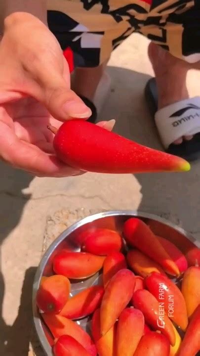 Padala Reddy Posted On Linkedin