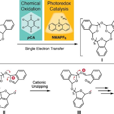 Putative Single Electron Transfer Set Induced Depolymerization Of