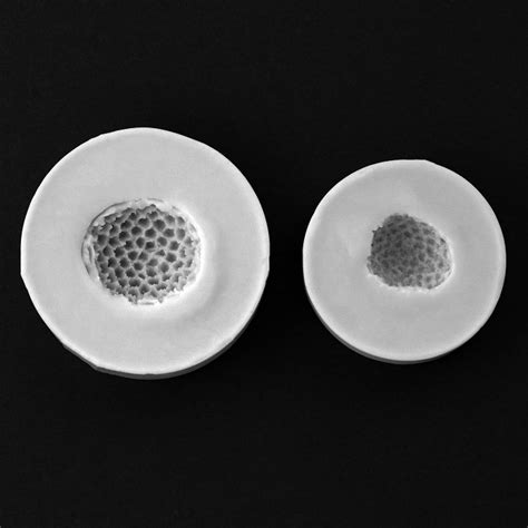 Scabious Flower Center Botanically Correct Mold Set By Rober