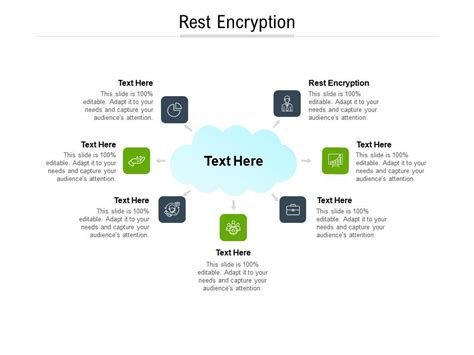 Rest Encryption Ppt Powerpoint Presentation Portfolio Summary Cpb