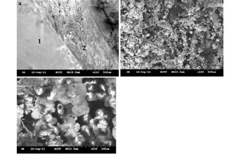 Fracture Surface Of Bullet Path Download Scientific Diagram