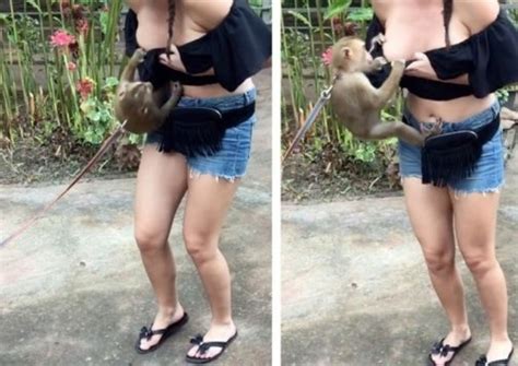 エロ注意サルおっぱいが大きい女の子をポロリさせてしまうwww動画あり ポッカキットポッカキット