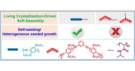 Living Crystallization Driven Self Assembly Of Linear And V Shaped Oligop Phenylene Ethynylene