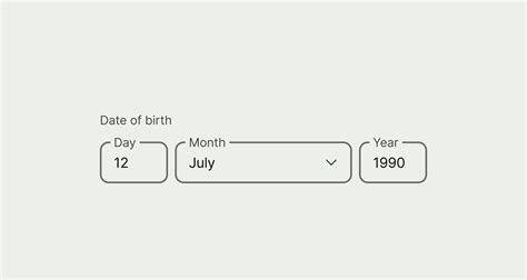 Wise Design Date Input