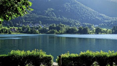 Fuschlsee Fisch Hitparade