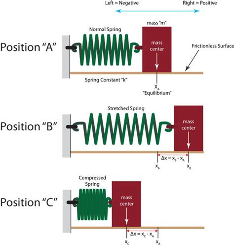 Free Body Diagram Spring Mass System