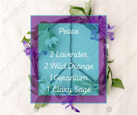 Peace Diffuser Blend By Christy St Clair