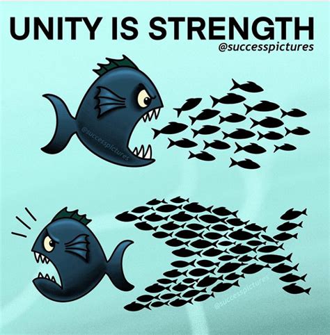 Unity Is Strength R MotivationalPics