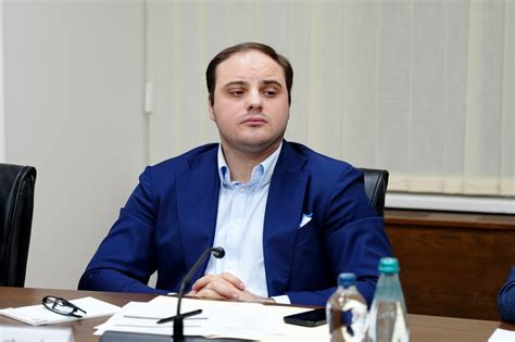 დევნილთა შრომის ჯანმრთელობისა და სოციალური დაცვის სამინისტრო ოკუპირებული ტერიტორიებიდან