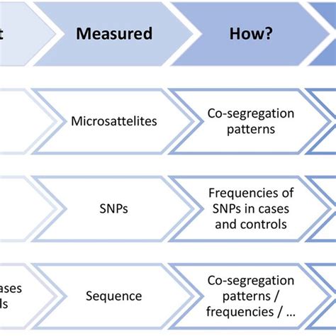 Overlap Of Prs Between Cases And Controls Typical Density Plot To Show Download Scientific