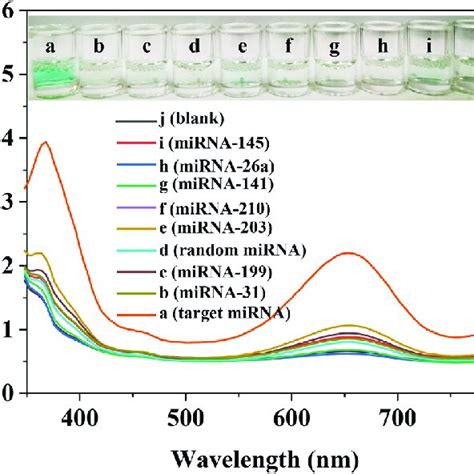 Sensitivity Of Mirna Detection A The Photographs Inset And Uv Vis