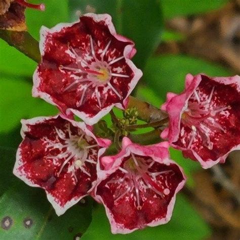 Euclidean Space Rshareyourmusic