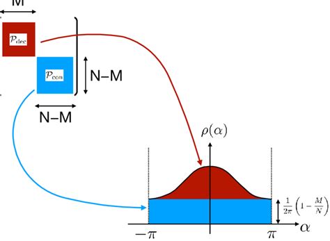 Sketches Of The Distribution Of The Phases Of Polyakov Loop In The