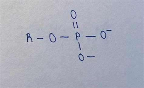 Functional Groups Chem Flashcards Quizlet