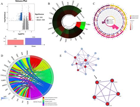 Gene Chip Detection Confirmed That Justicidin D Can Cause The Download Scientific Diagram