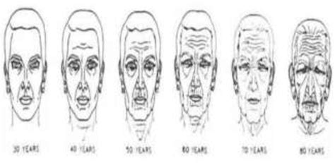 Table 1 From Human Age Group Classification Using Facial Features Semantic Scholar