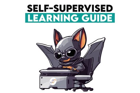 self supervised learning guide super simple way to understand ai