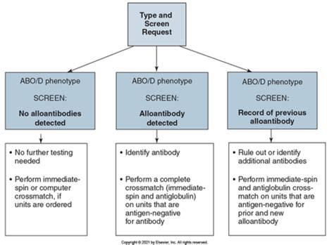 Lecture 8 Chapter 7 Pretransfusion And Compatibility Testing Learning