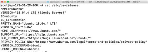 Ubuntu Upgrade From 1804 Lts To 2004 Lts