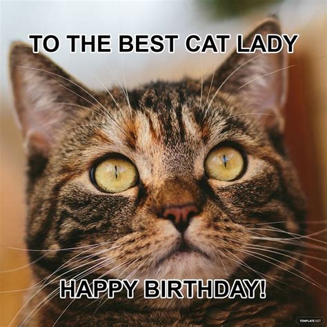 Happy Birthday Cat 