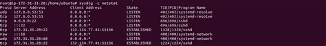 Steps To Setup Sysdig To Monitor Linux System On Ubuntu