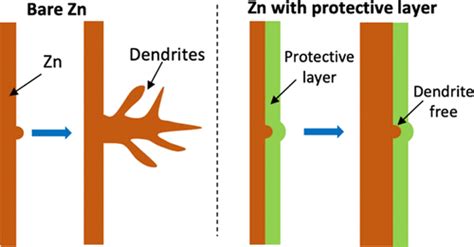 Phase Field Simulation Of A Dynamic Protective Layer For The Inhibition Of Dendrite Growth In