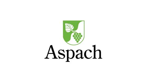 Aspach City Council — Run Creative