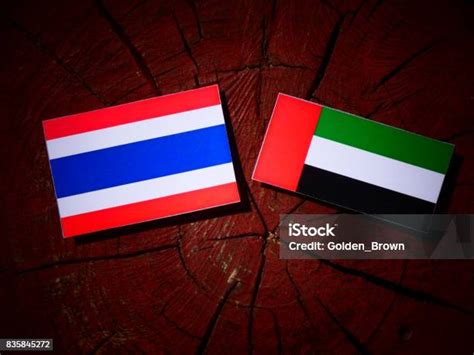 고립 된 나무 등 걸에 아랍에미리트 국기와 함께 태국 국기 0명에 대한 스톡 사진 및 기타 이미지 0명 Friendly Match 개념 Istock