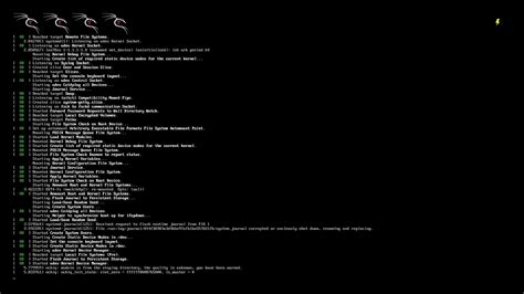 Kali Linux Boot Screen Fabshop Youtube