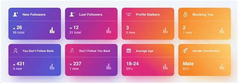 Instagram Analysis Abbas Mirza