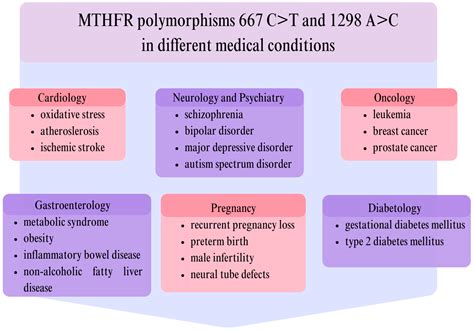 Mthfr Gene Polymorphisms A Single Gene With Wide Ranging Clinical