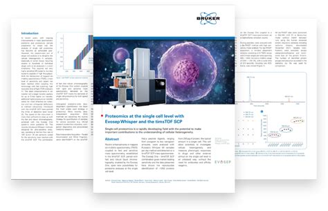 Proteomics At The Single Cell Level