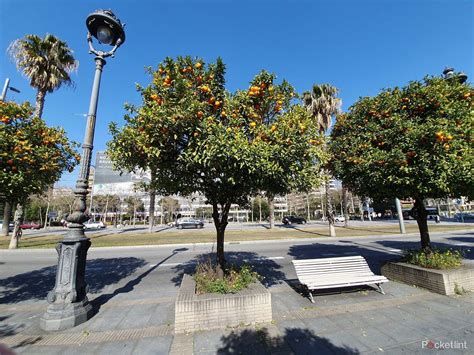 Samsung Galaxy S10 Review A Perfect 10