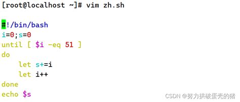 细讲shell中的循环语句 for、while、until shell forsi循环 csdn博客