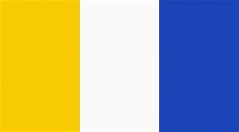 Banni Brand Identity