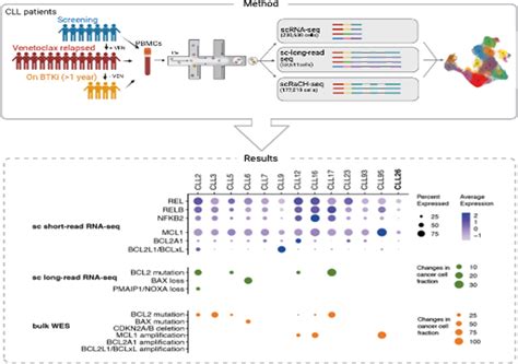 S140 Single Cell Multiomics Analyses Reveal Complex Intra P Hemasphere