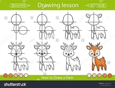 How Draw Deer Step By Step Stock Vector Royalty Free 1836044173