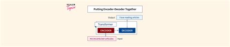 Putting Encoder Decoder Together Scaler Topics