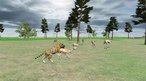 Descargar Angry Wild Tiger Attack Sim 3d Apk Última Versión 11 Para Android
