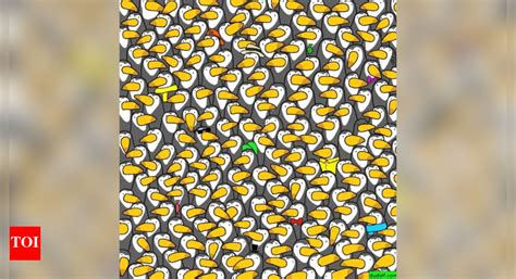 Optical Illusion Only A Person With Perfect Eyesight Can Spot The Cute