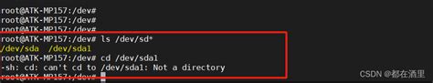 U盘挂载，卸载，fdisk，mkfs， Mount， Umount命令，以及挂载时出现target Is Busy问题 Csdn博客