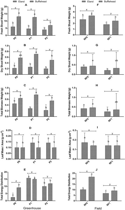 Effect Of Opv Rf Transmittance Genotype And Interaction On Leaf Yield Download Scientific