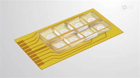 Video Measuring Smc Contraction In Vitro A Non Invasive Method To