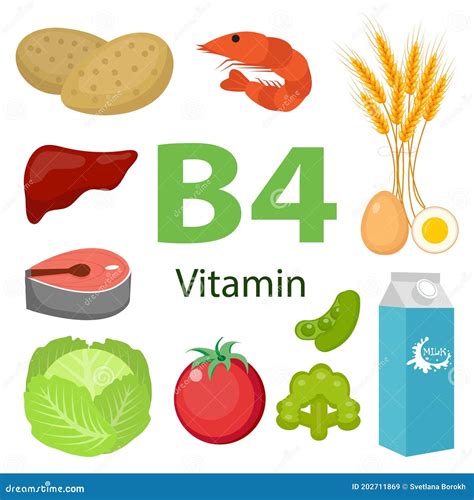 Vitamin B4 Nutrition Infographic With Medical And Food Icons Diet