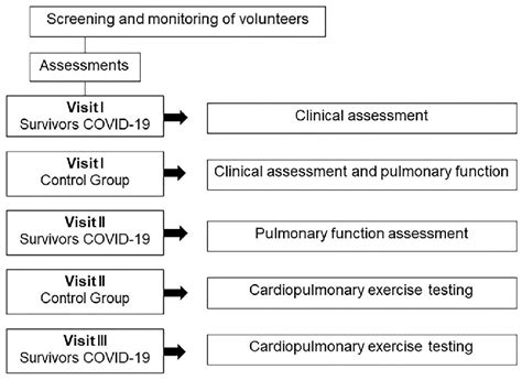 Evaluation Flow Chart Download Scientific Diagram