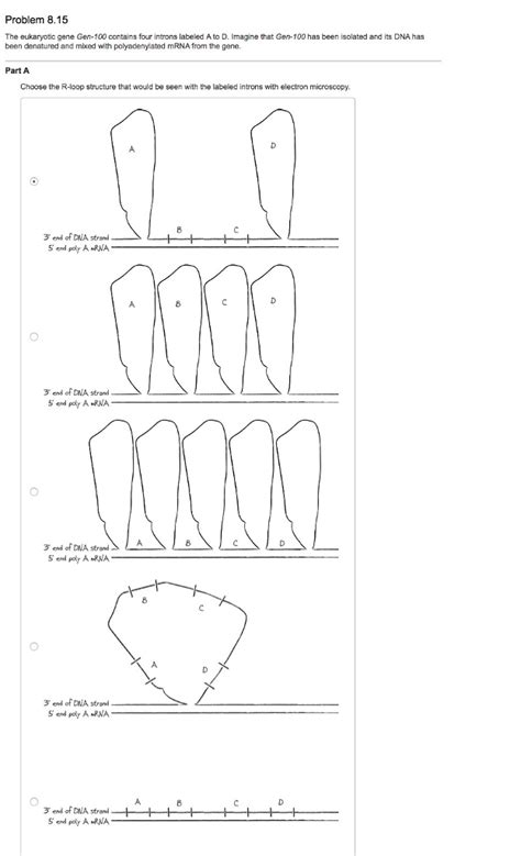 solved problem 8 15 the eukaryotic gene gen 100 contains