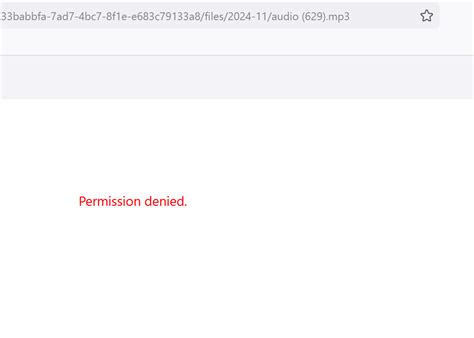 Issue With Public Access To Audio Files On Seatable Hosted User Talk