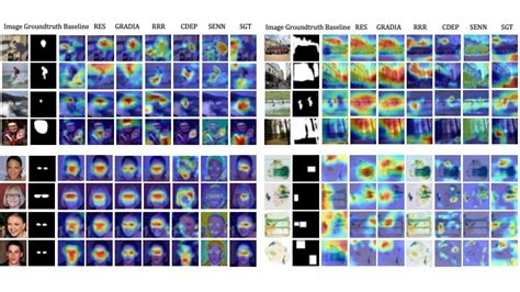 Selected Explanation Visualization Results On Four Vision Datasets